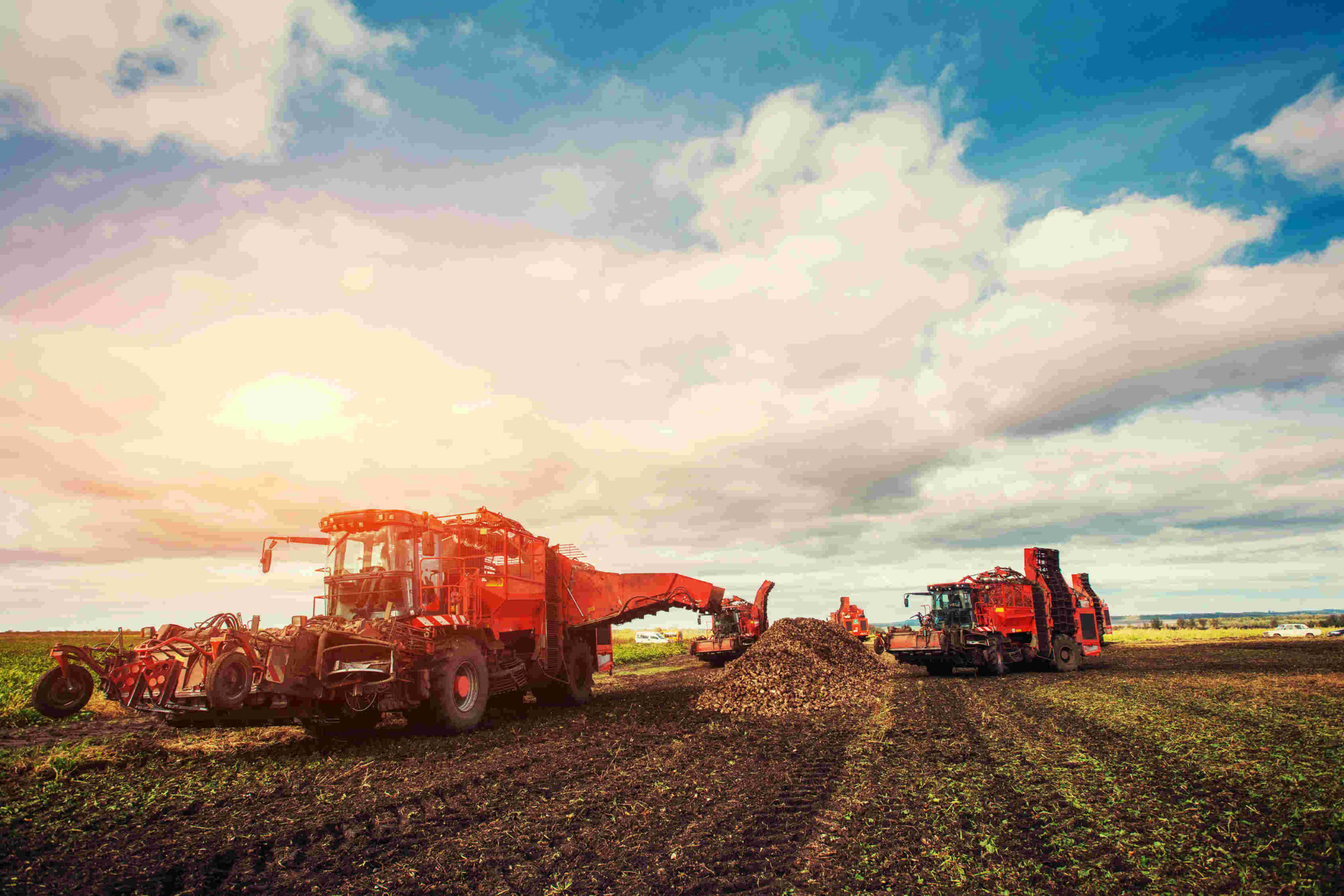 Agrikultur - Intertek SAI Global Indonesia