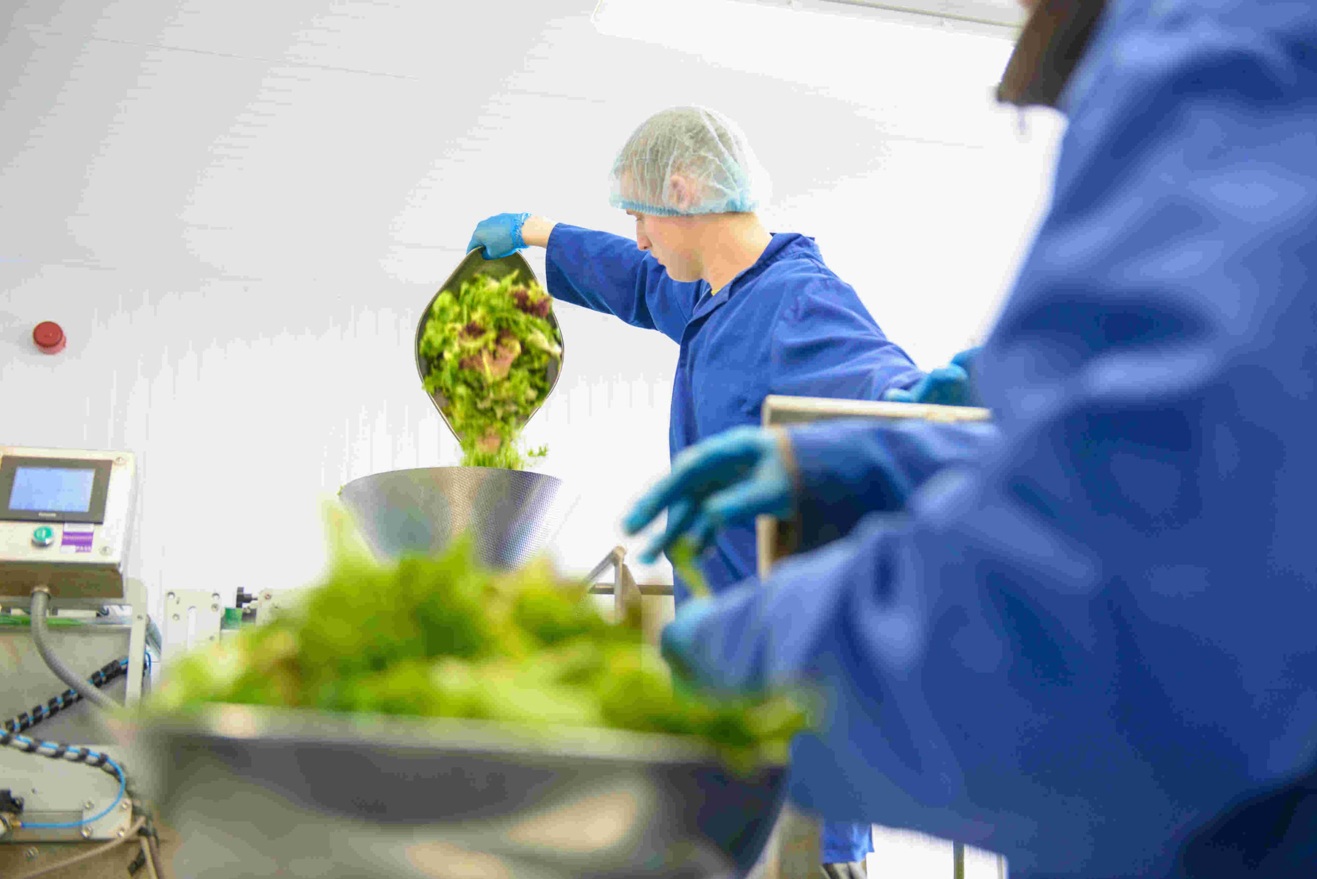 SQF Food Safety and Quality Codes - Intertek SAI Global Indonesia